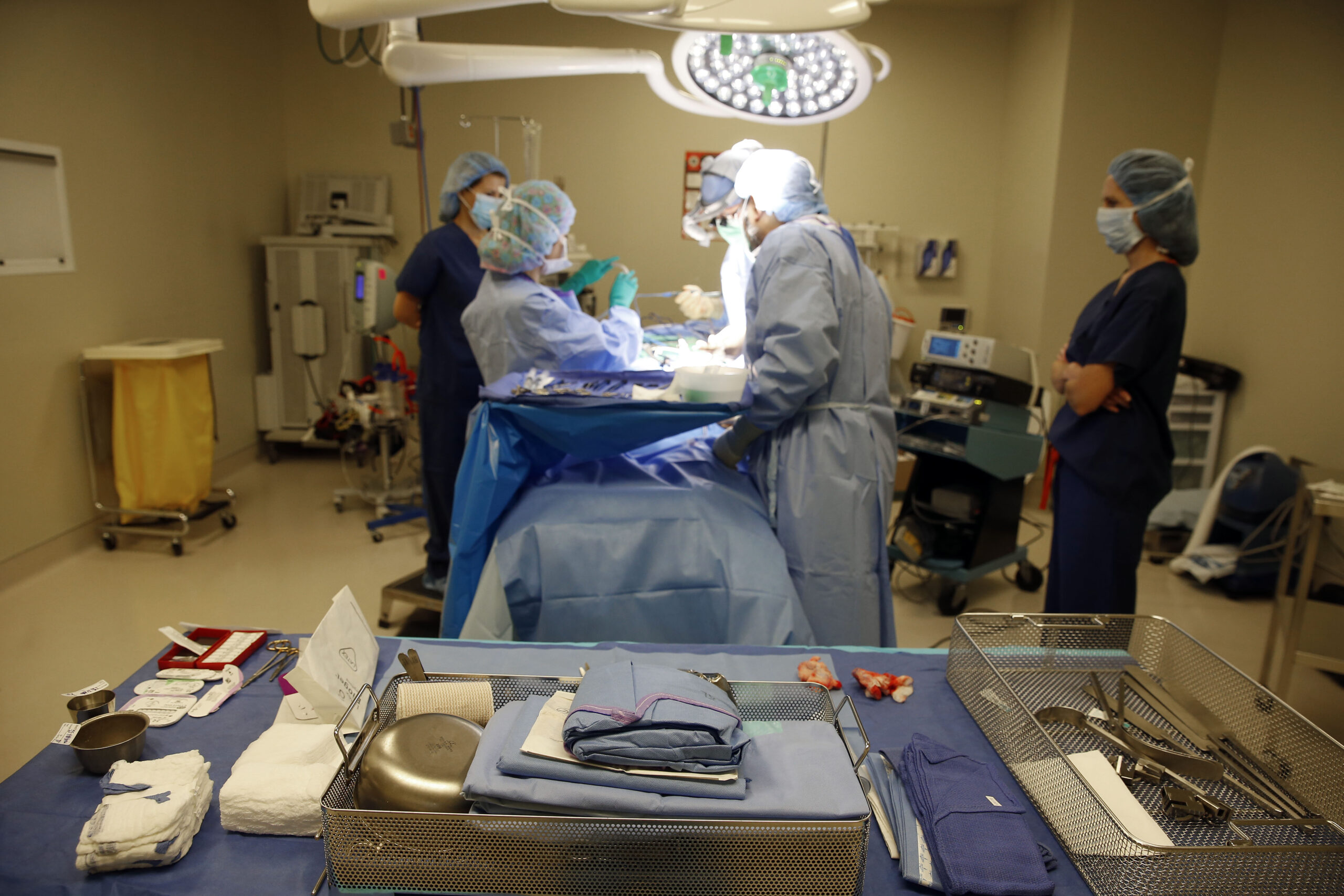 Complex Nerve Injuries Complex Nerve Injuries in the Foot, Toe and ...
