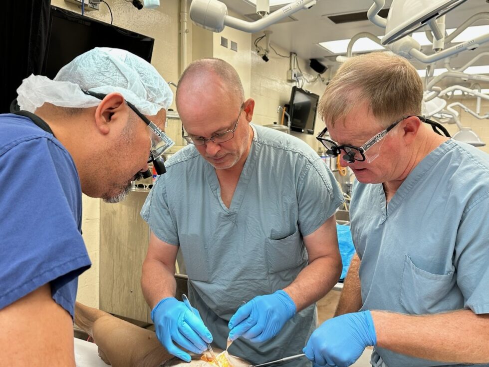 Nerve Pain International Surgical Society for Nerve-Induced Pain - Tim ...